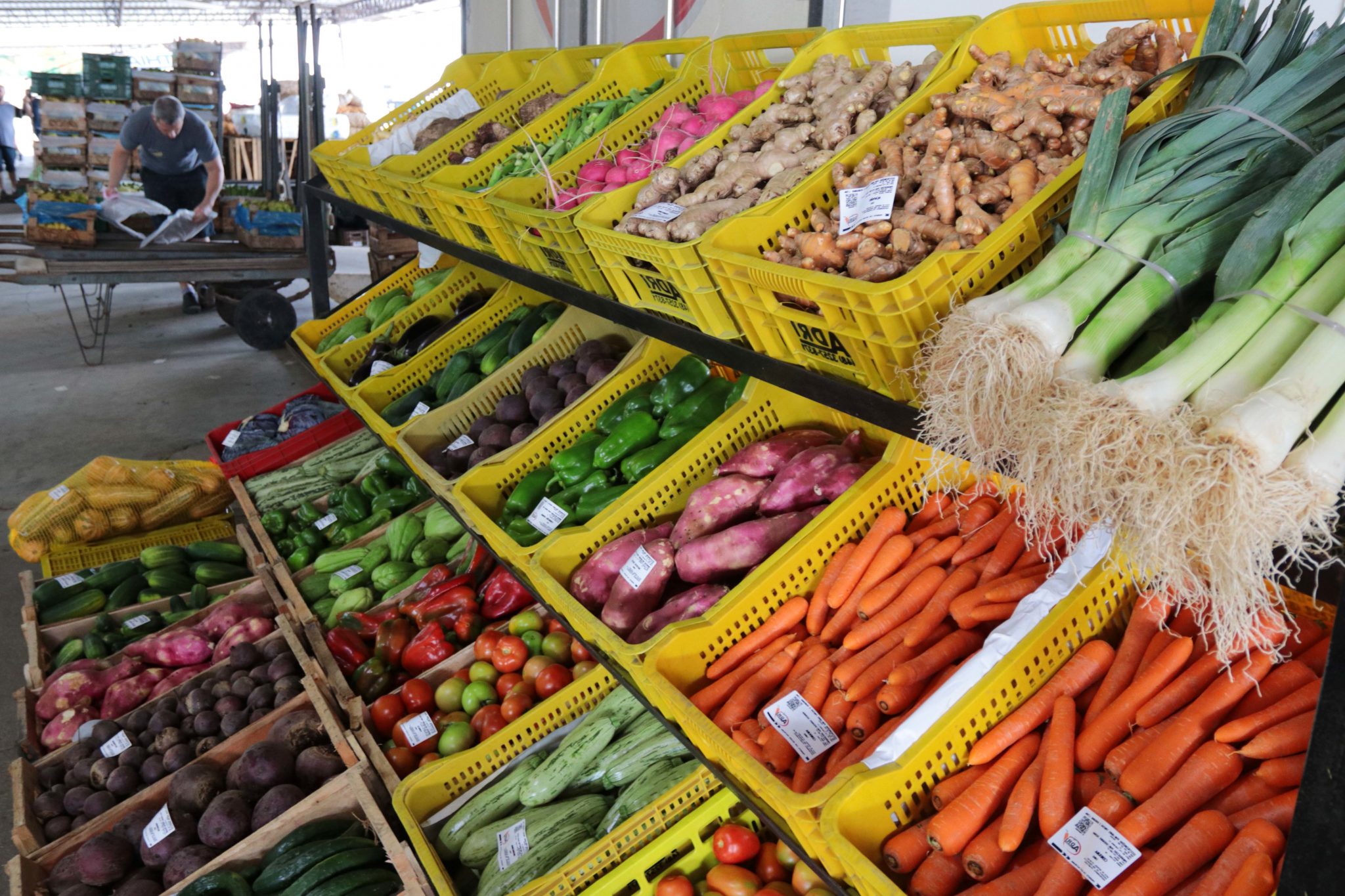 Mercado Agropecuário - Observatório Agro Catarinense